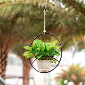 Other | Modern Metal Hanging Hoop Planter For Flower Pot Black | Poshmark